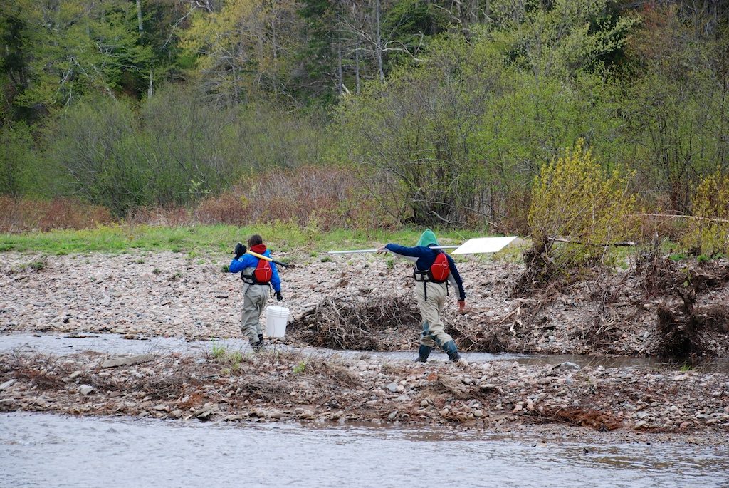 Unama'ki Institute of Natural Resources - AAROM-PAGRAO